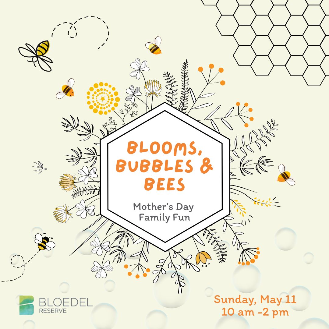 Blooms Bubbles and Bees social | Windermere Bainbridge Island