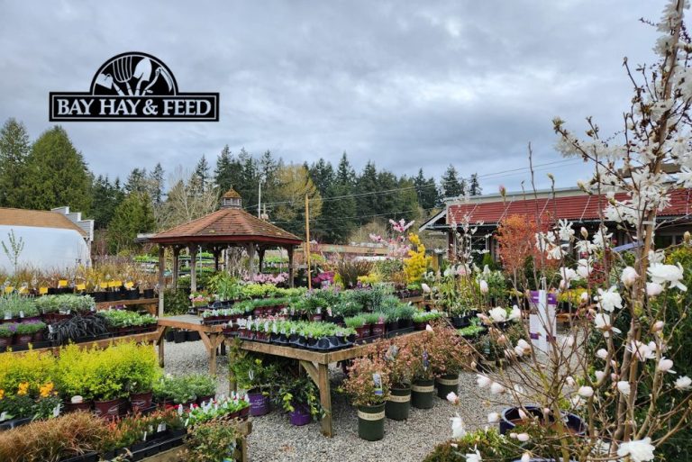 New & Relocated Businesses to Check out on Bainbridge Island